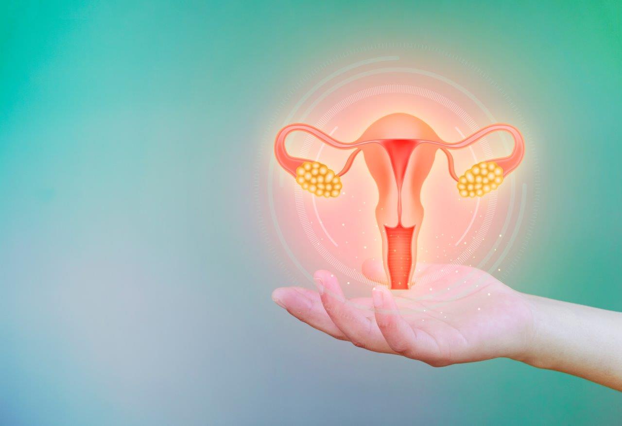 Laparoscopic Oophorectomy | Best Gynecological Surgeons