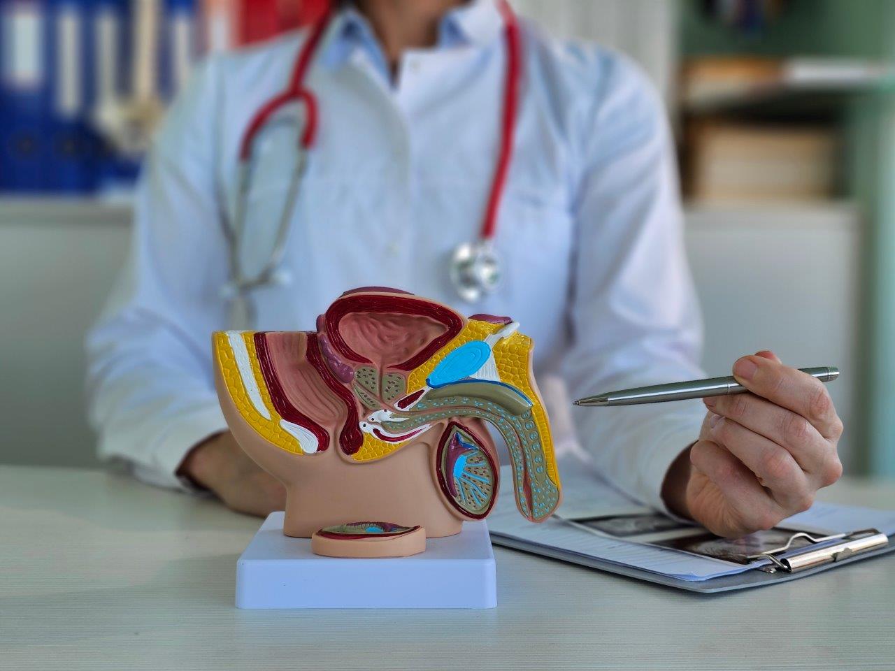 Prostate Cancer Screening in Dubai | Prostate Cancer Test