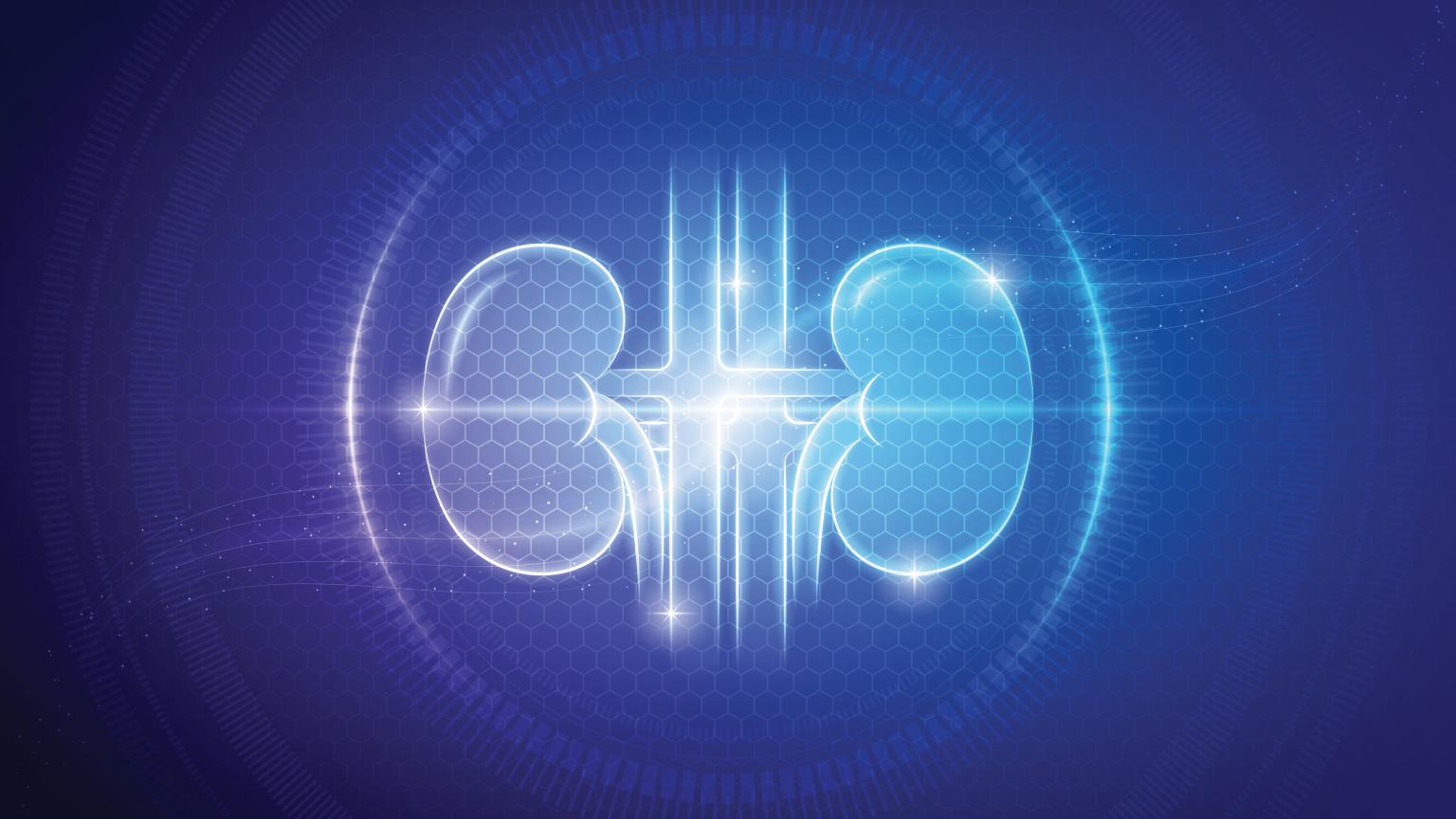 Autoimmune Kidney Disease Treatments-Lupus Nephritis Treatment